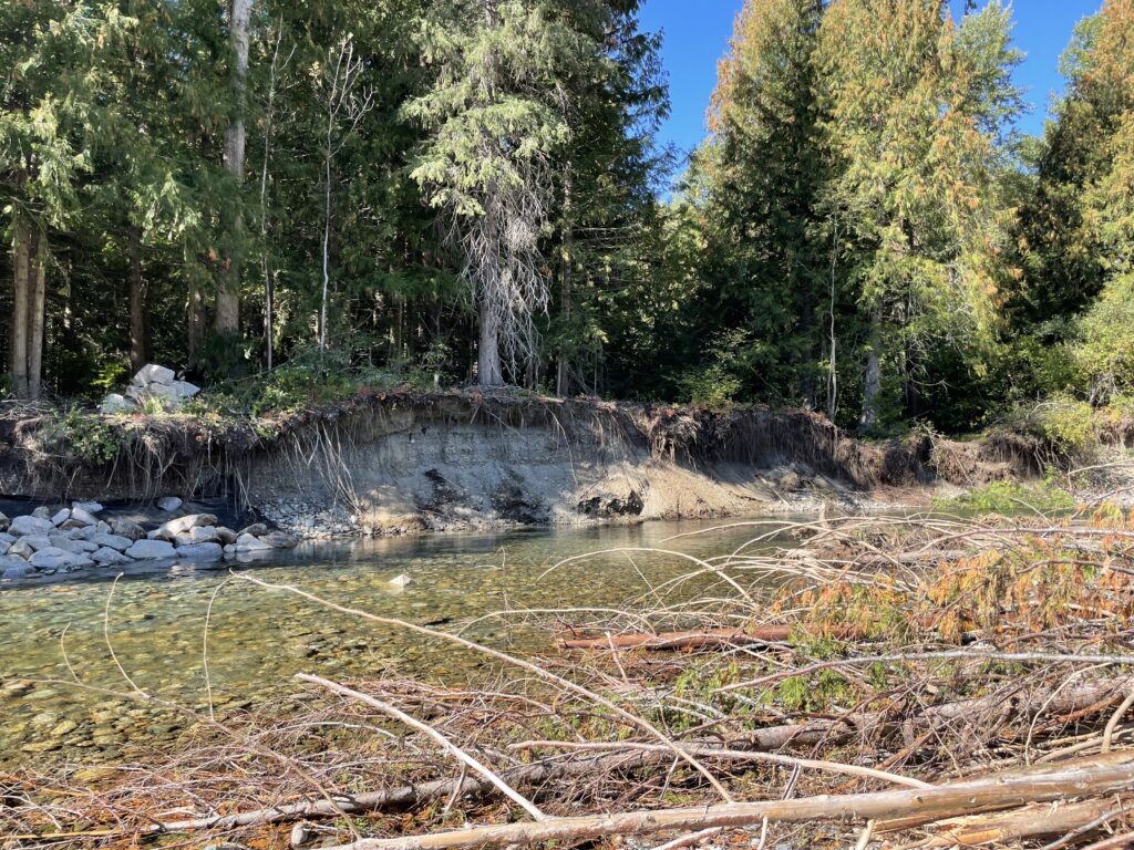 Salmo River Inhabitants Receive a Gift! | Salmo Watershed Streamkeepers ...